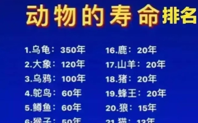 30种动物的寿命排名