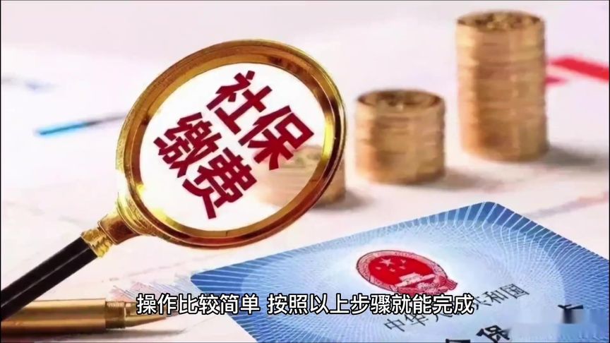 社保缴费明细查询支付宝(社保缴费明细查询支付宝怎么查)