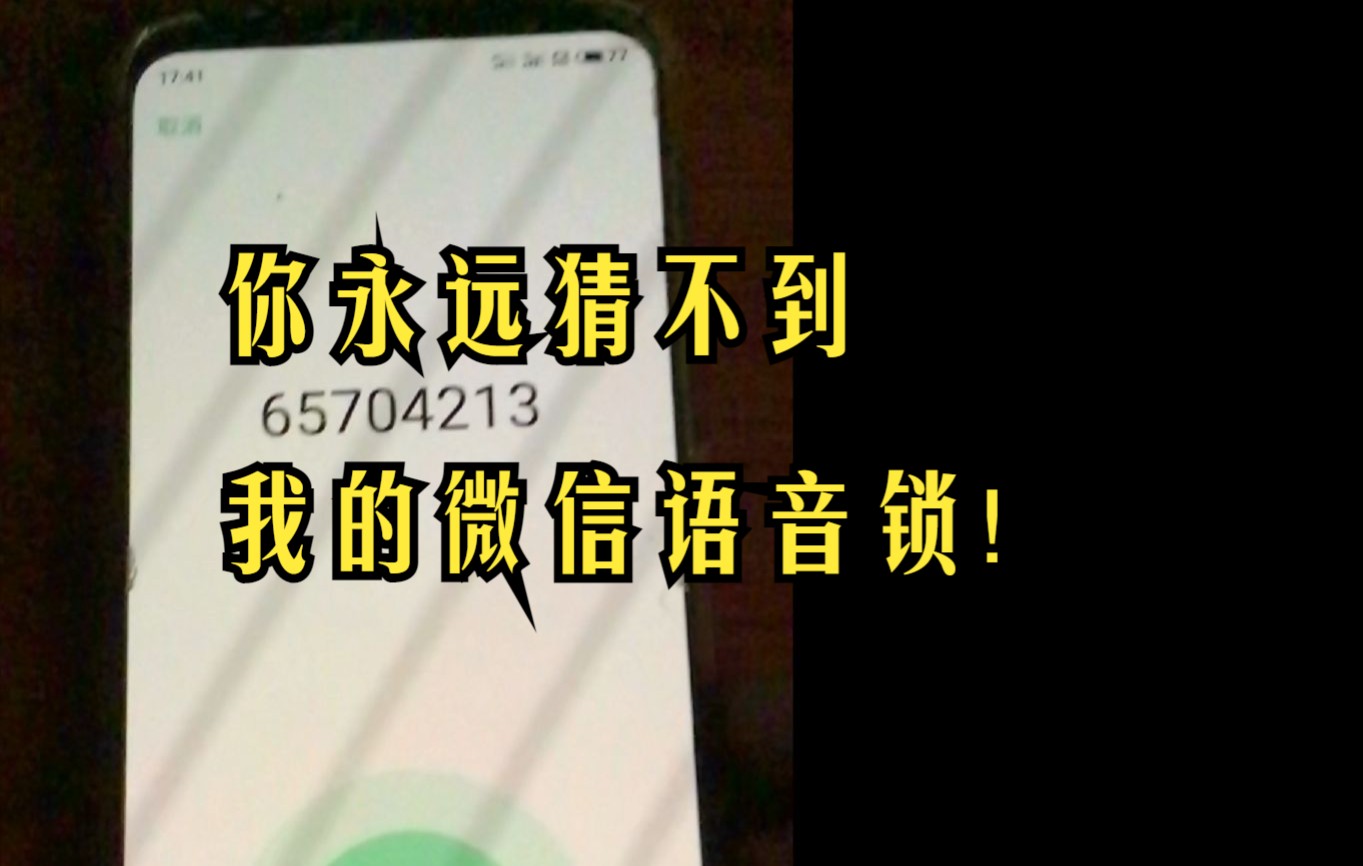 你永远猜不到我的微信语音锁!