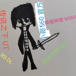 林锡-小哥560 