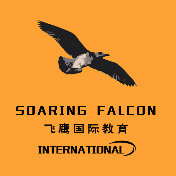 飞鹰国际教育 