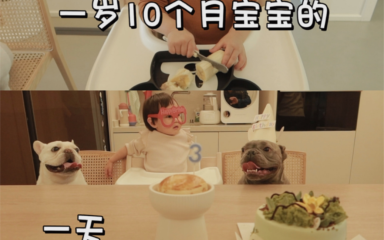 高质量早教|1岁10个月宝宝的作息时间表|三餐辅食|早教玩具|育儿理念|...