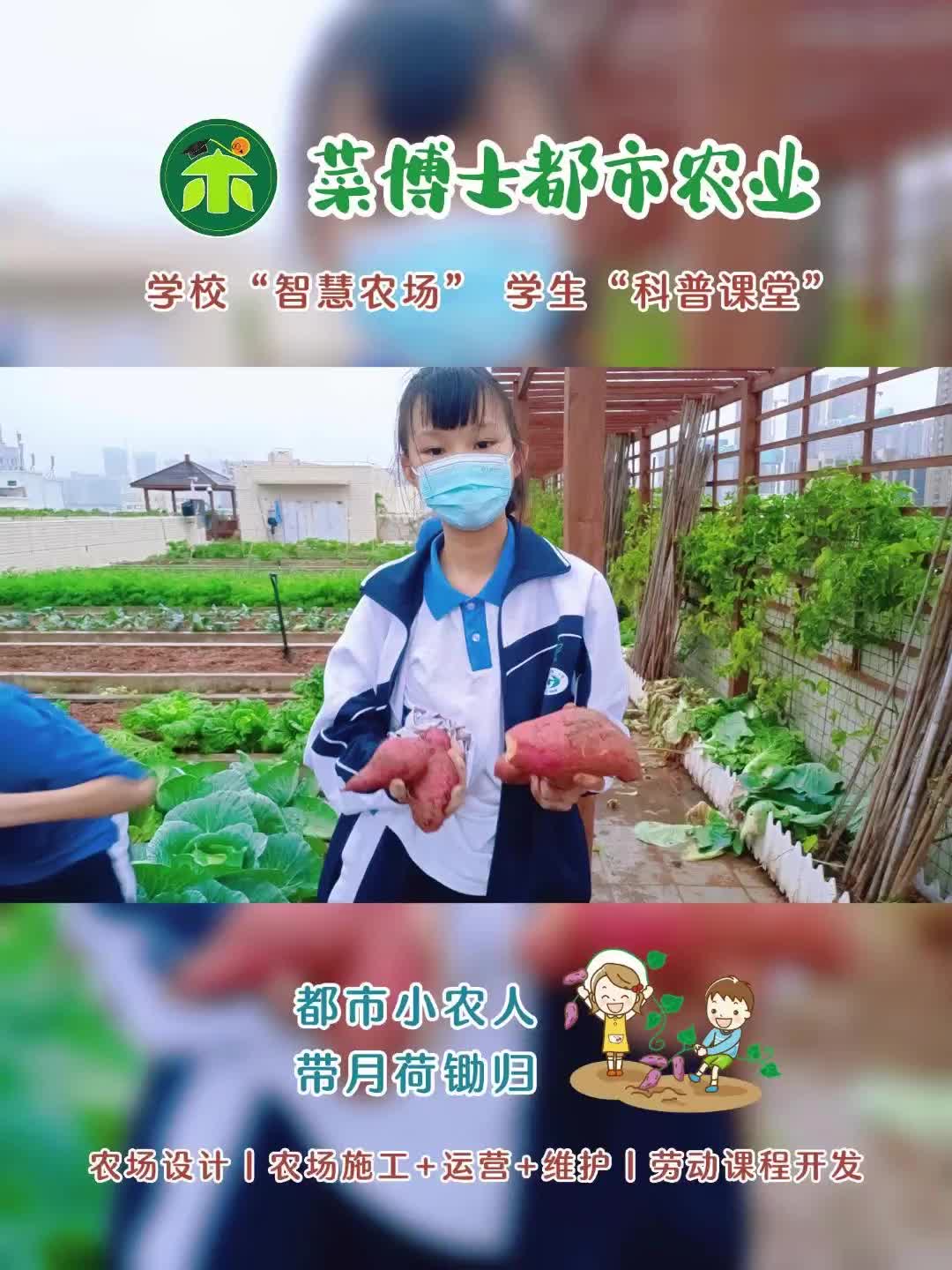 ...深圳社区共享农场带大家看看学生实践;欢迎前来参与社会实践,农业...