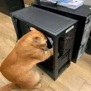 八十万水军黑轴教练 