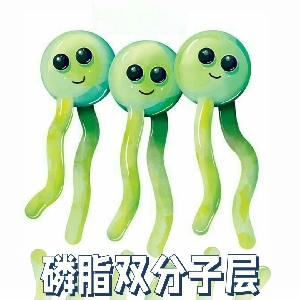 林荫和番茄 