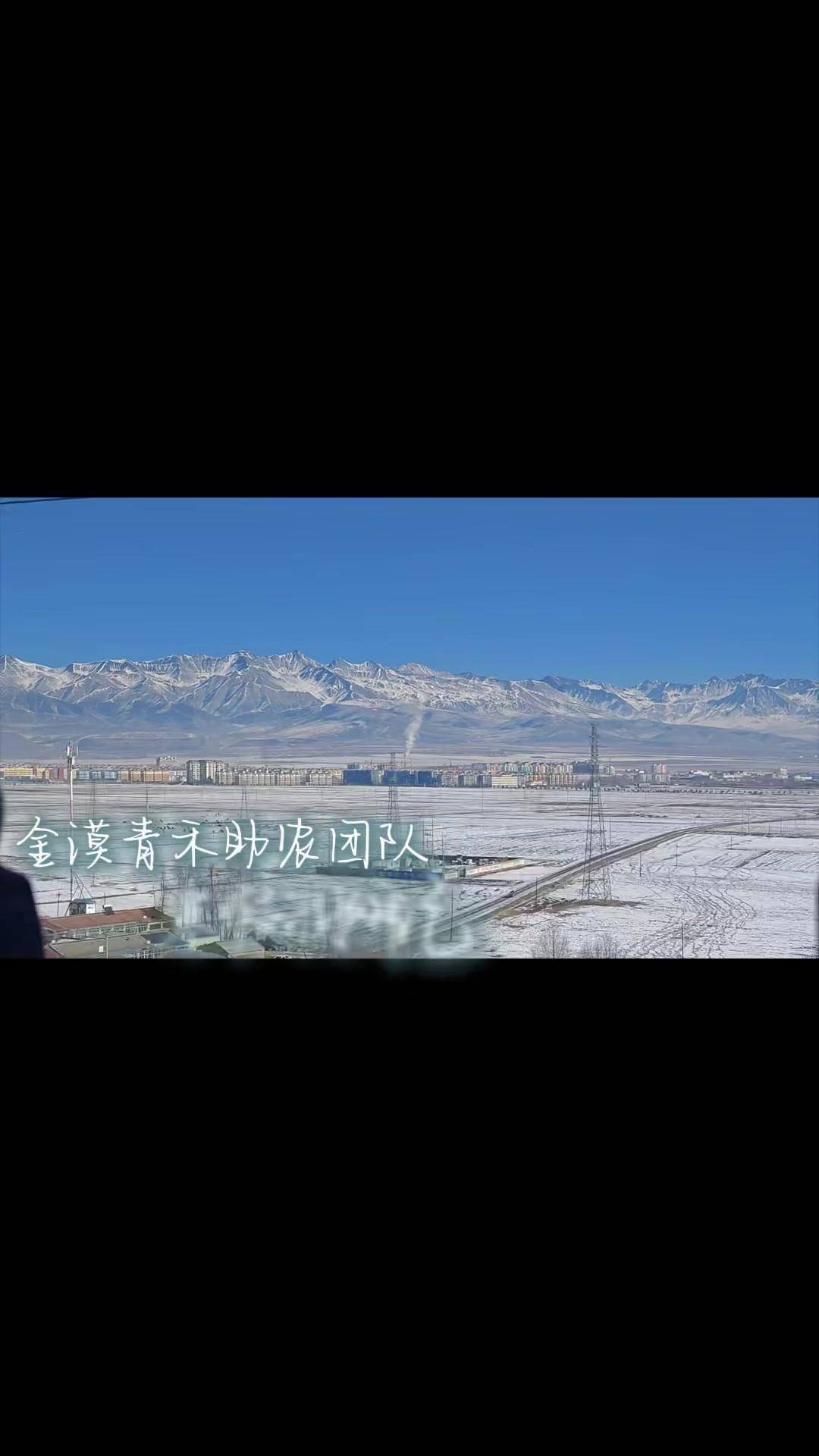 ...戈壁飘香,科技兴农,绿色希望--金漠青禾助农团队寒假社会实践纪实