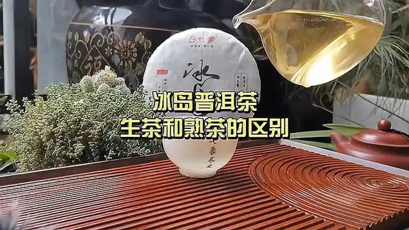 冰岛普洱茶生茶和熟茶的区别