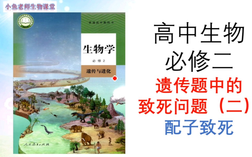 高中生物必修二《遗传题中的致死问题(二)配子致死》