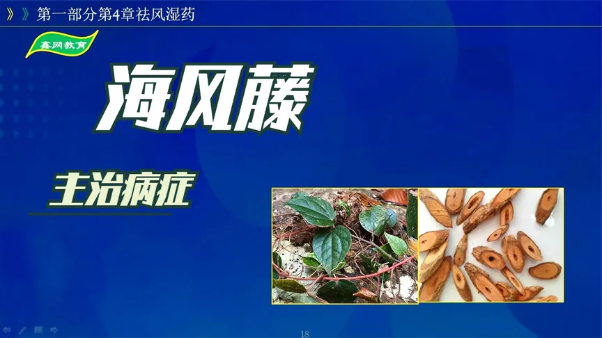 中药-海风藤的主治功效