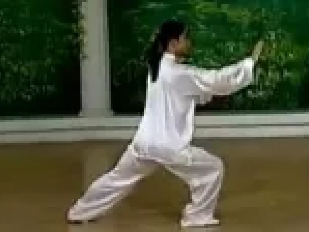 八式太极拳(带口令)背向演练_邱慧芳