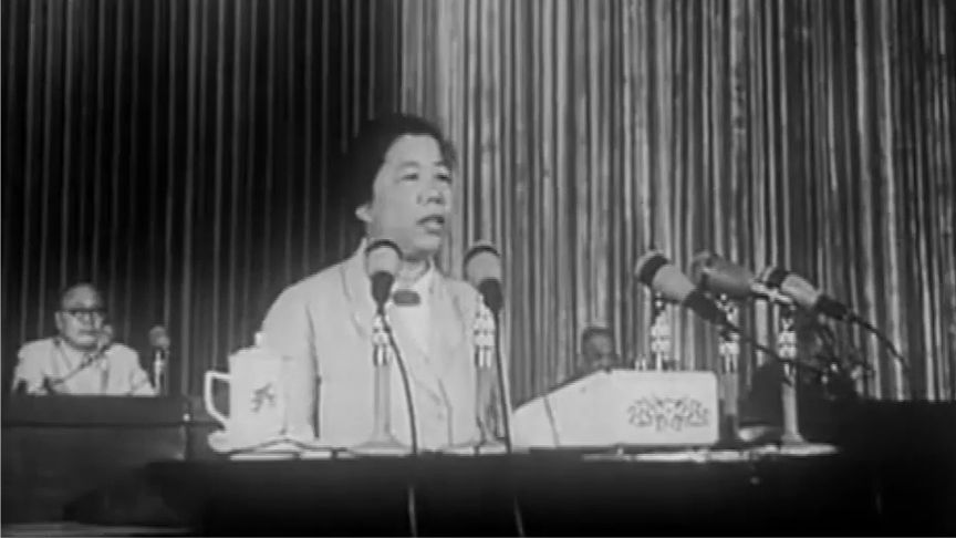1949年9月新政协会议召开,邓颖超当选为全国政协常委