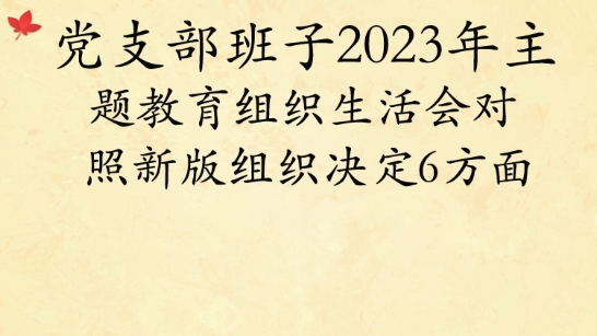 办公室党支部班子2023年主题教育专题组织生活会对照检查材料新版...