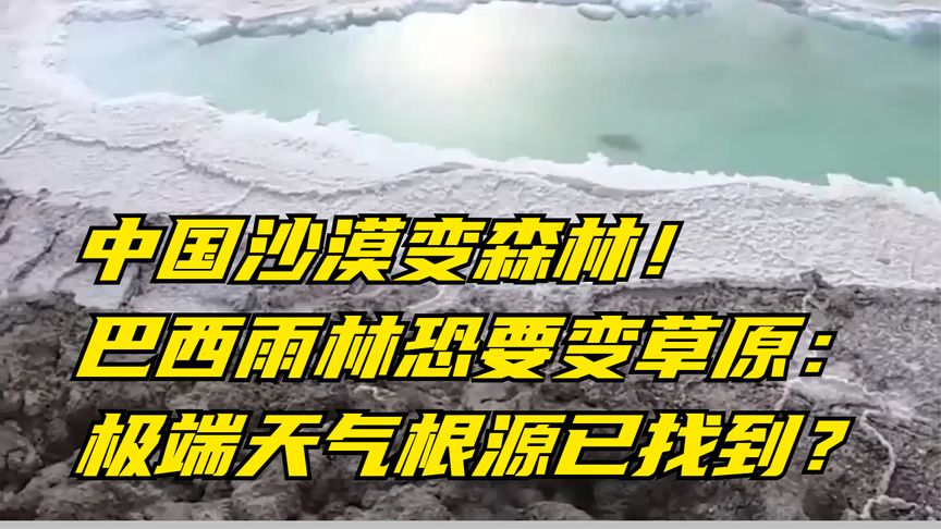 中国沙漠变森林!巴西雨林恐要变草原:极端天气根源已找到?