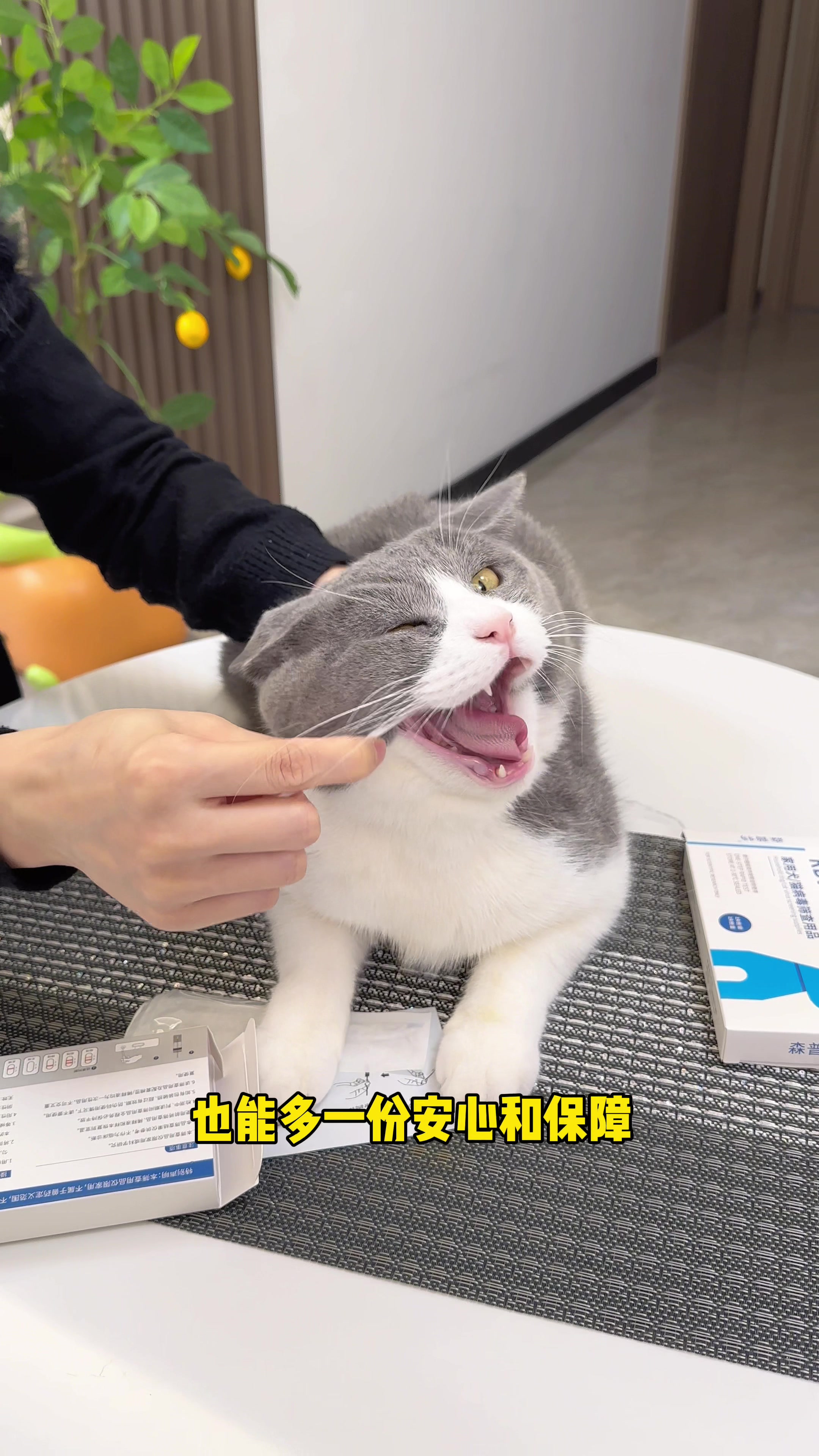 狂犬病的死亡率是百分之百,家里面有养猫咪狗狗的一定要重视起来#...