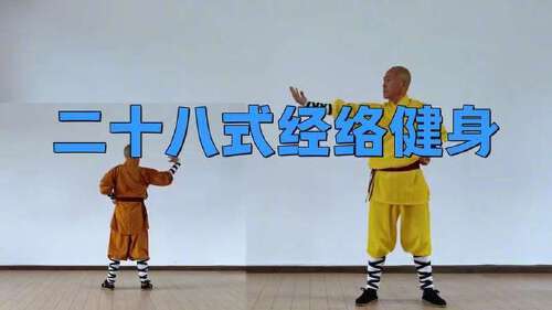 每天10分钟!二十八式经络操打通全身气血,轻松告别亚健康