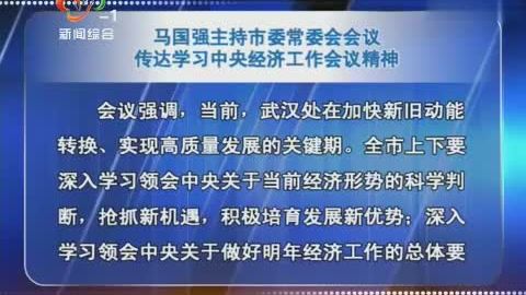 马国强主持市委常委会会议传达学习中央经济工作会议精神