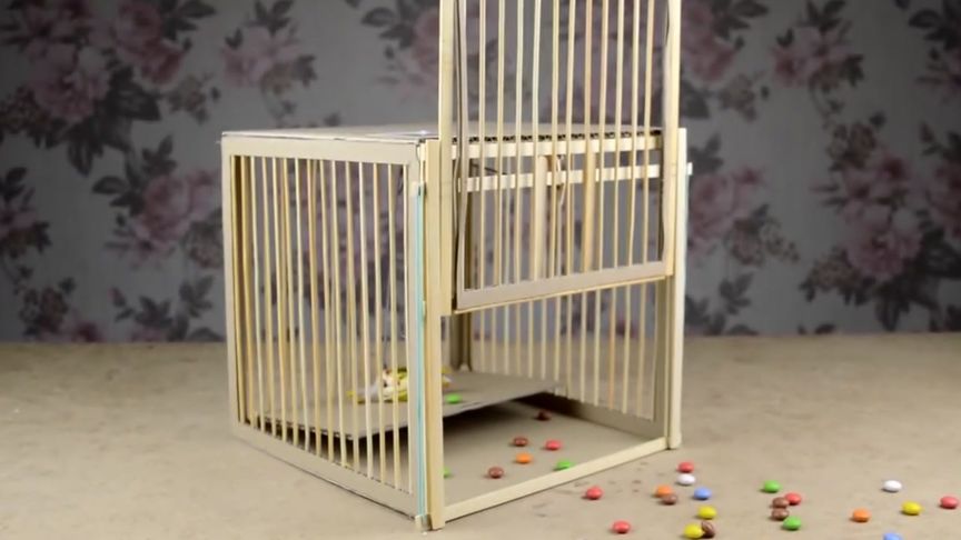 制作个超牛捕鼠笼,老鼠一个跑不了