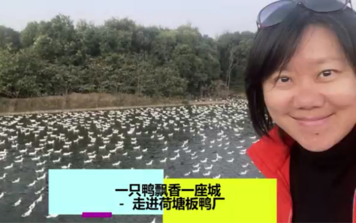 ...招牌。其“荷塘板鸭”品牌还获准使用中国地理标志保护产品专用商标