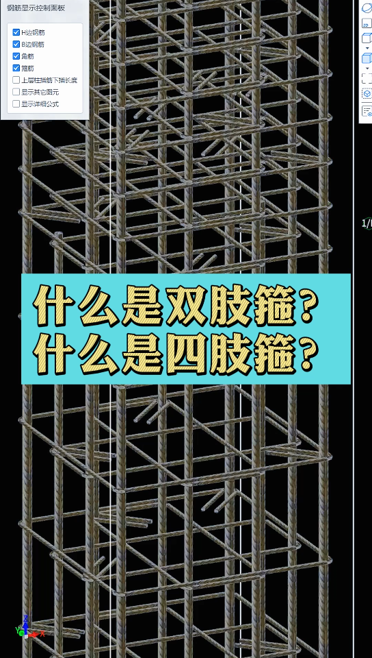 什么是双肢箍？什么是四肢箍