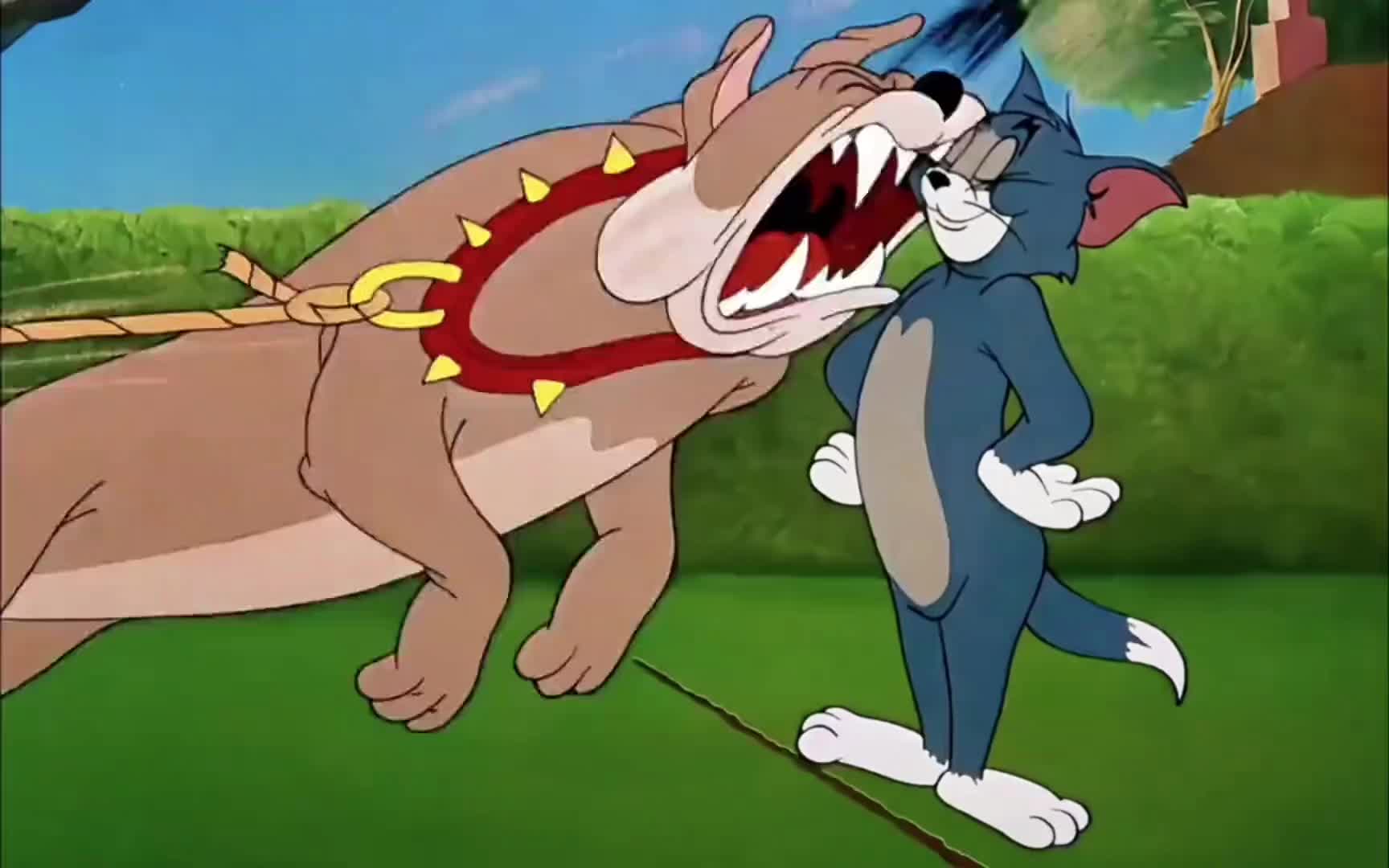 猫和老鼠。#儿童动画 #猫和老鼠 #童年动画