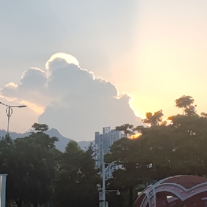 奇点同学 