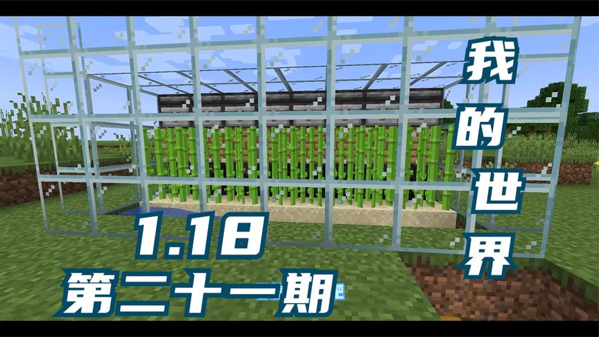我的世界1.18版本21:建个全自动甘蔗机!下期做件大事情!绝对肝