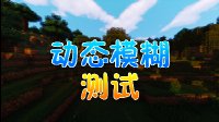 我的世界动态模糊测试