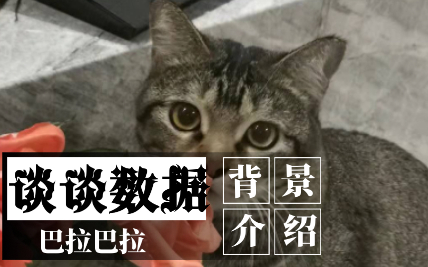 〖测试〗我们来谈谈数据