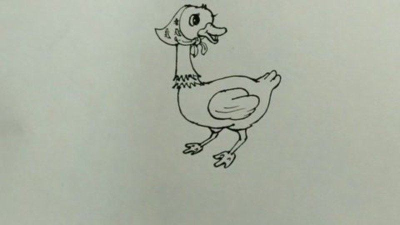 教大家画卡通鸭子简笔画