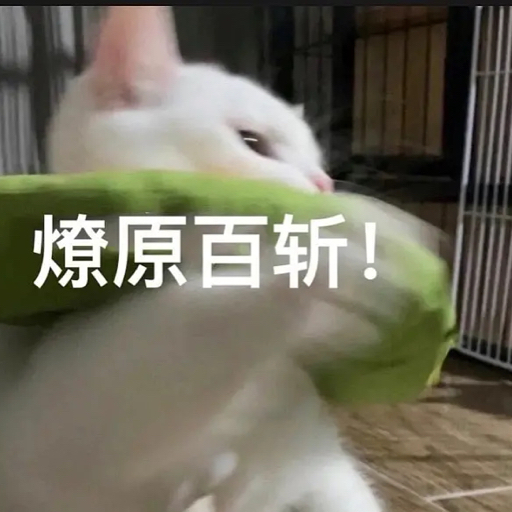 燎原百斩777 