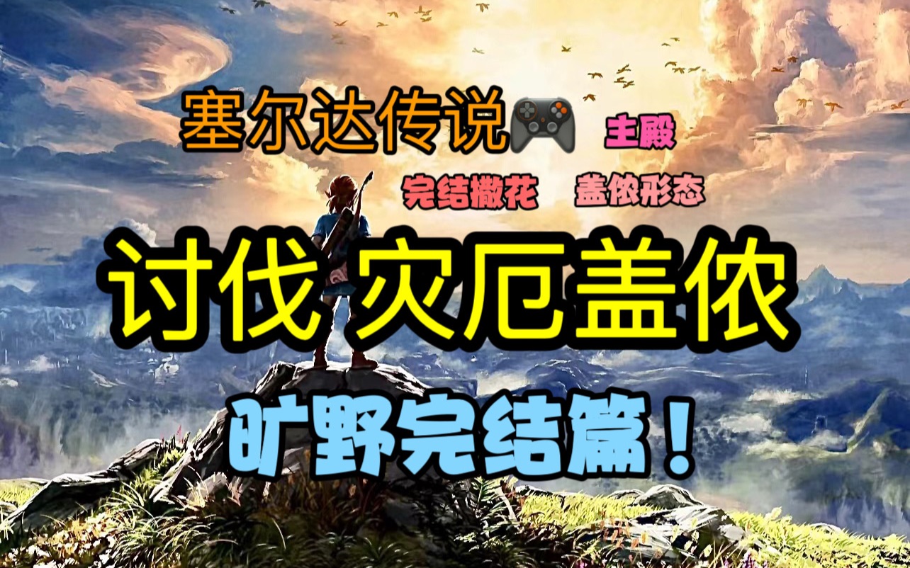 塞尔达传说ߎ�讨伐灾厄盖侬 结业篇!