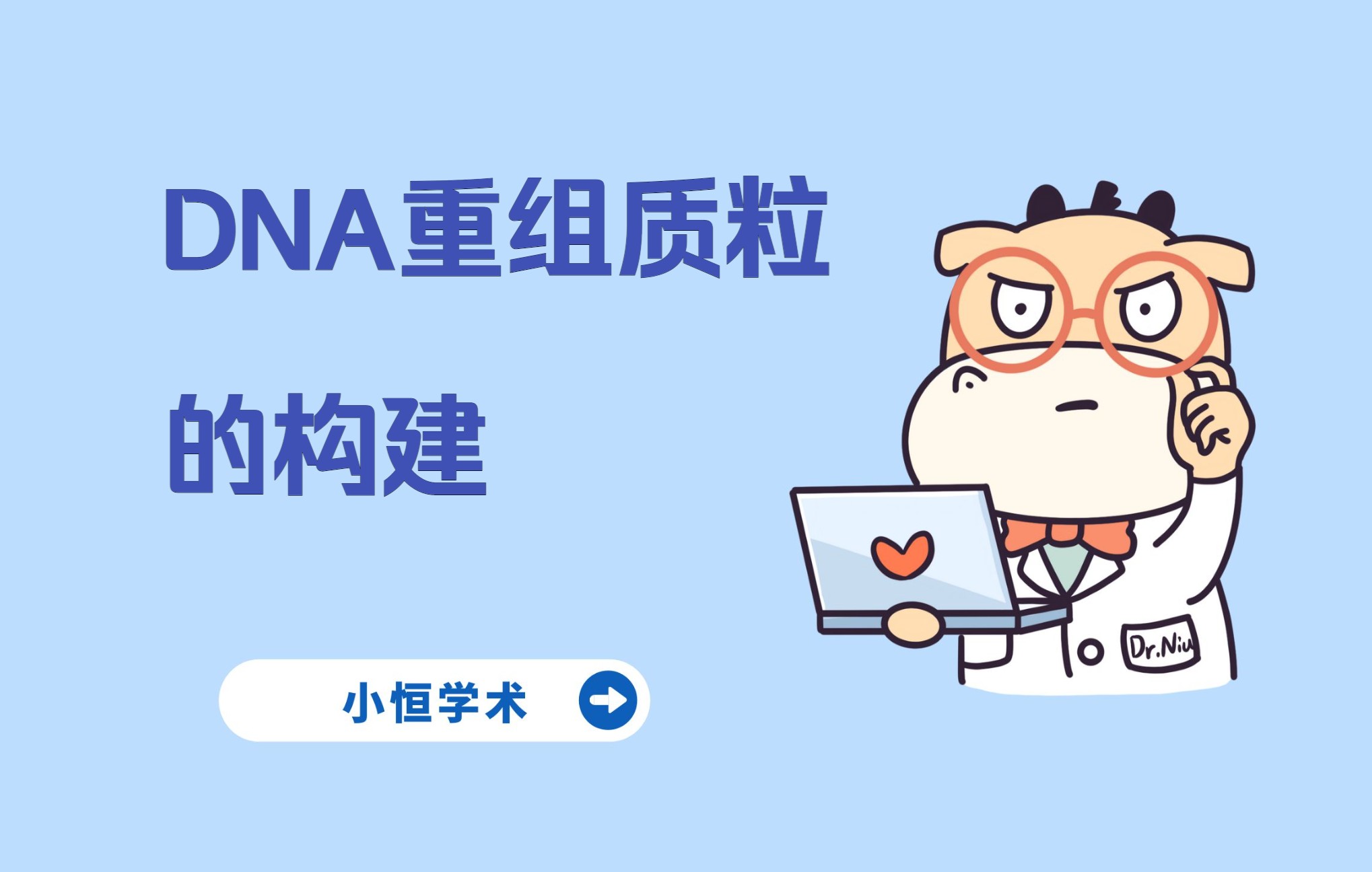 DNA重组质粒的构建