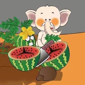 猫毛毛和猫妞妞 