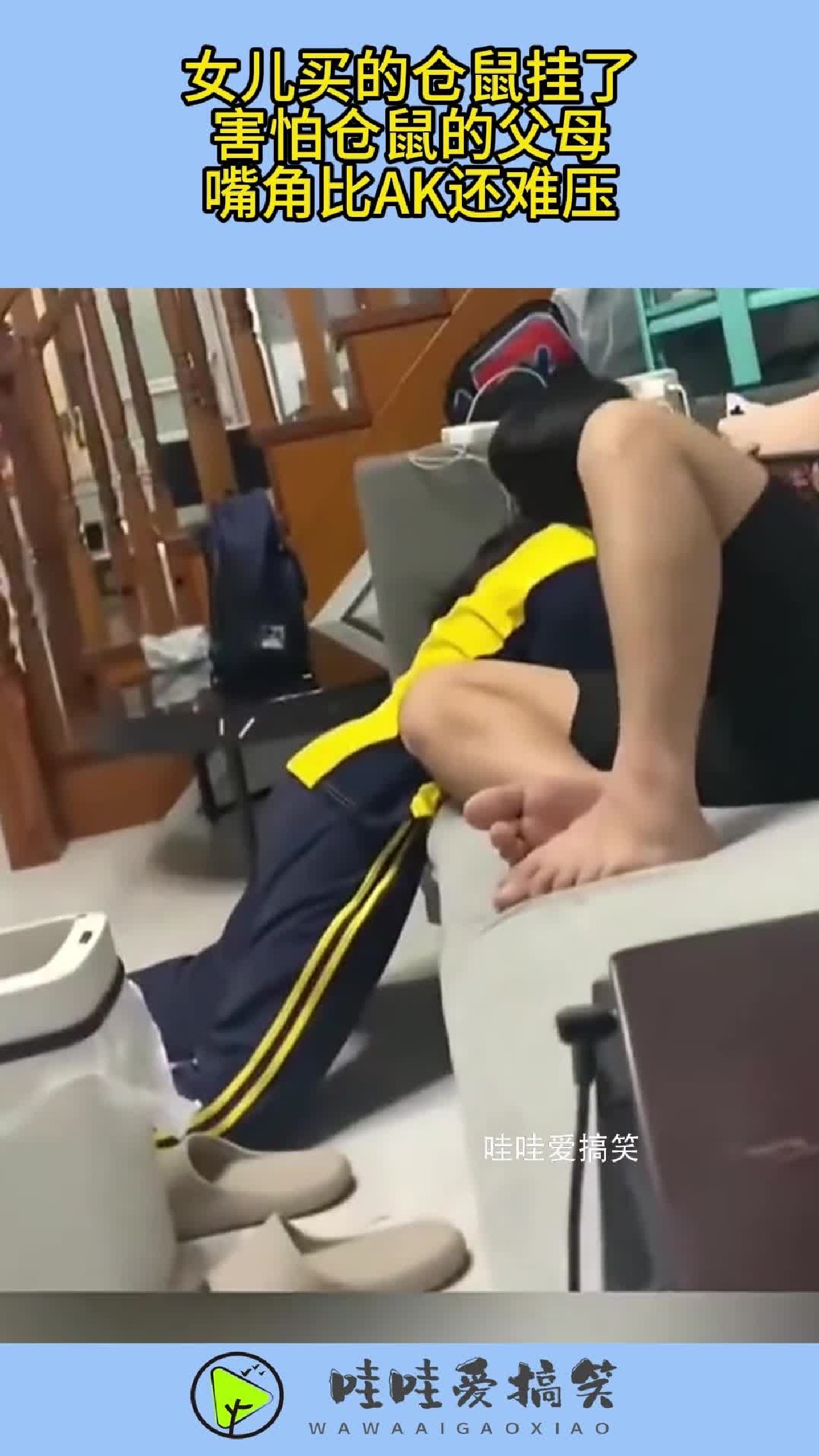 女儿买的仓鼠挂了,害怕仓鼠的父母,嘴角比AK还难压!