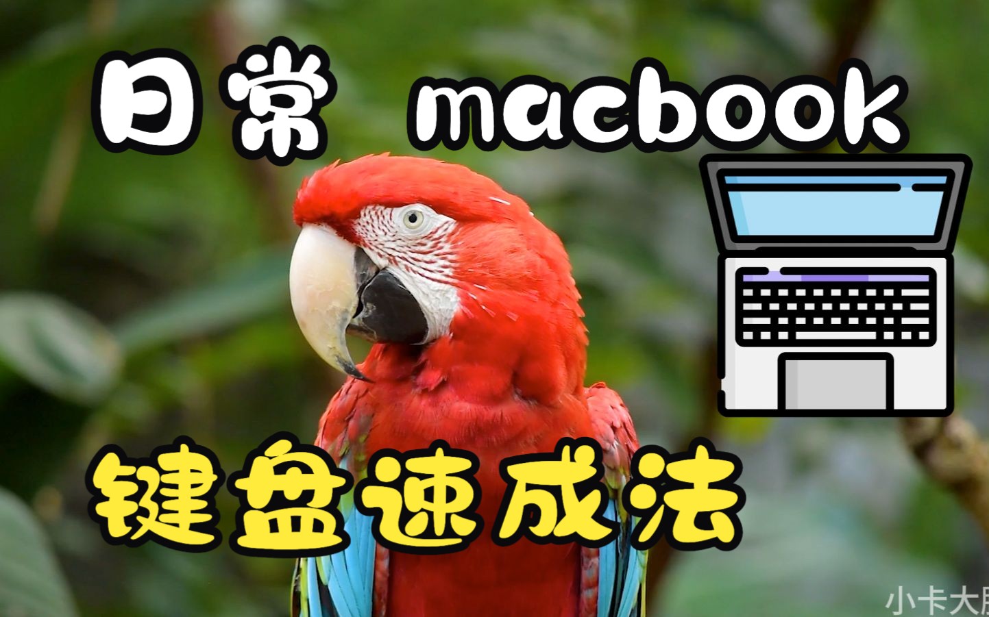 告别繁琐,一键直达: Macbook 常用快捷键分享
