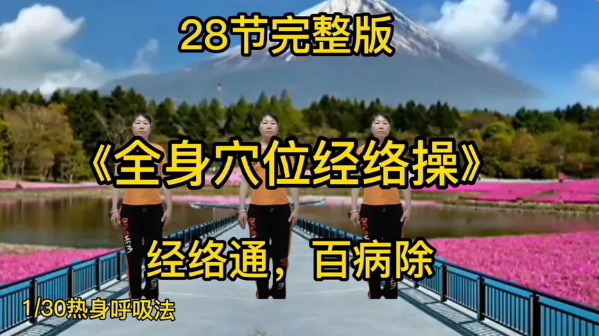 28节完整版《全身穴位经络操》,打通全身经络,预防多种疾病。