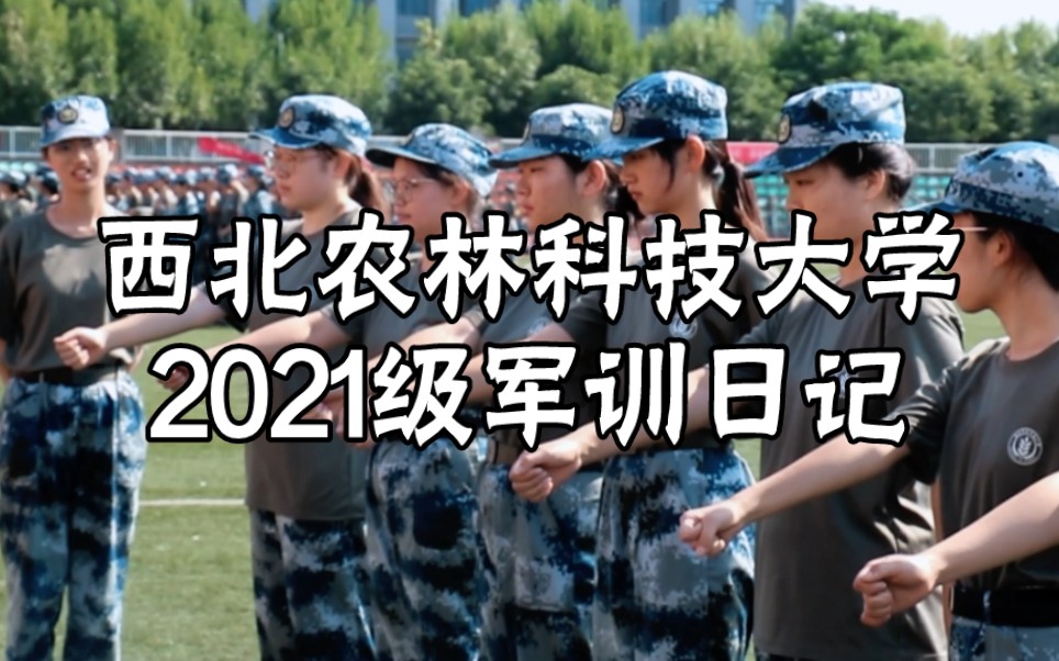 你可见过这样的大学军训?西北农林科技大学2021级大学军训日记 走进...