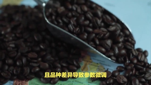 咖啡种植条件深度解析:气候、土壤与海拔的协同作用