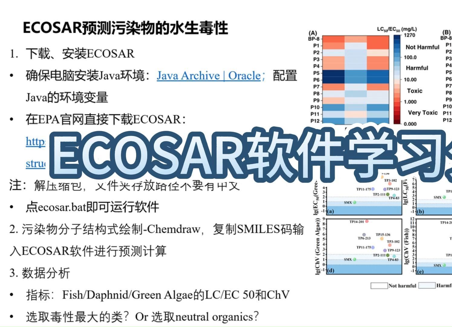 ECOSAR软件毒性预测学习分享:安装/计算/数据分析