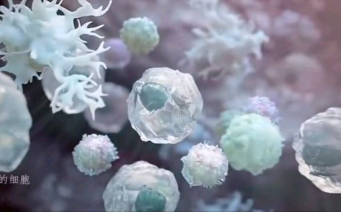 人体内细胞都长什么样?微观角度让你认识人体内的世界。