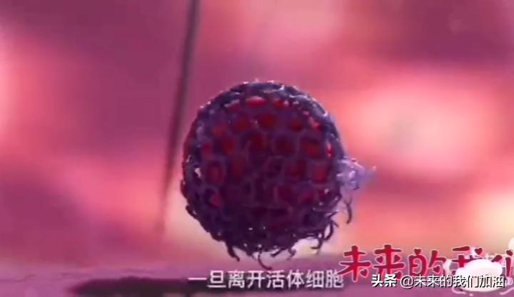 一枚病毒在身体里的演变过程