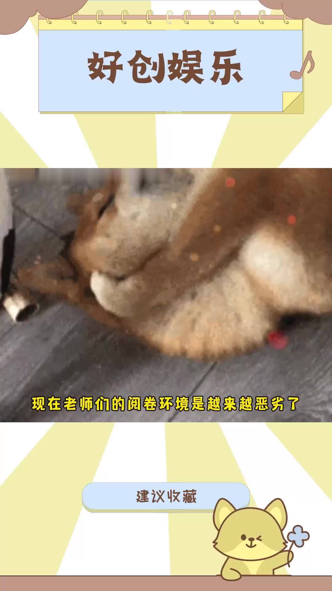 这答案一个比一个6️⃣啊!