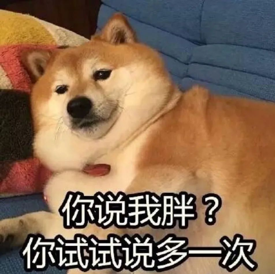 索小信的闲暇时光 