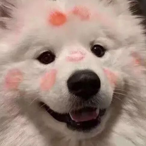 小高不高丶 