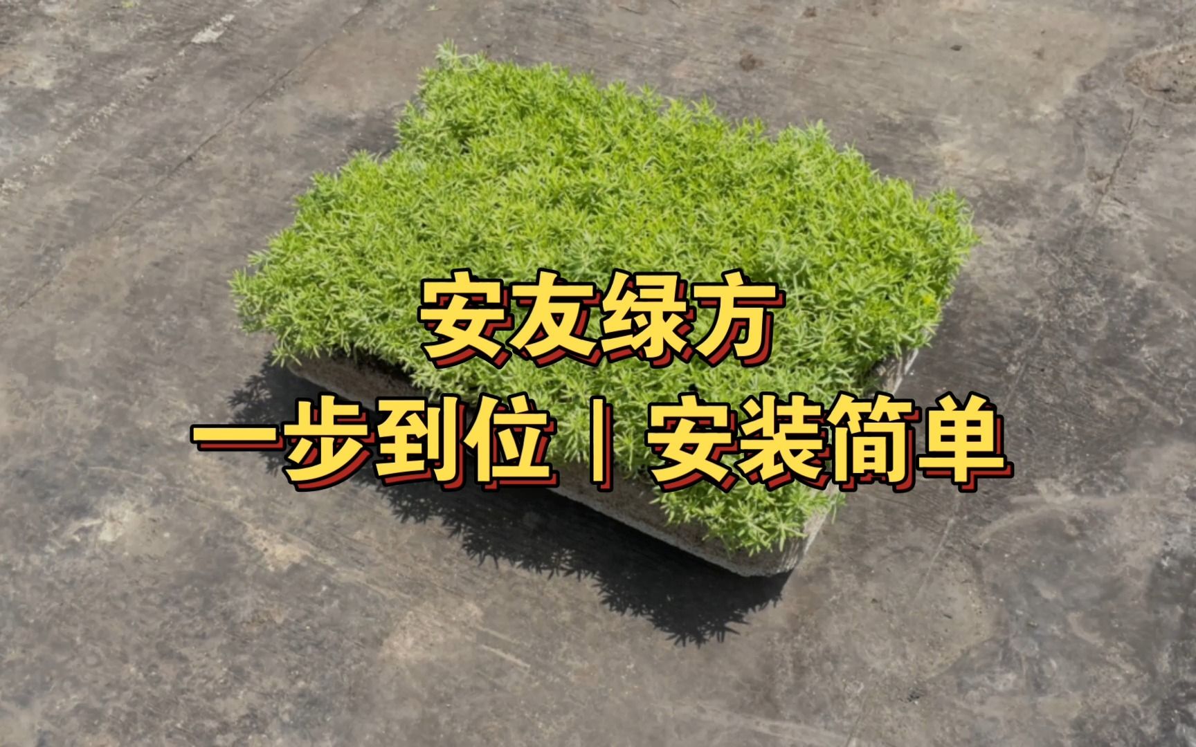屋顶绿化用安友绿方,一步到位安装简单