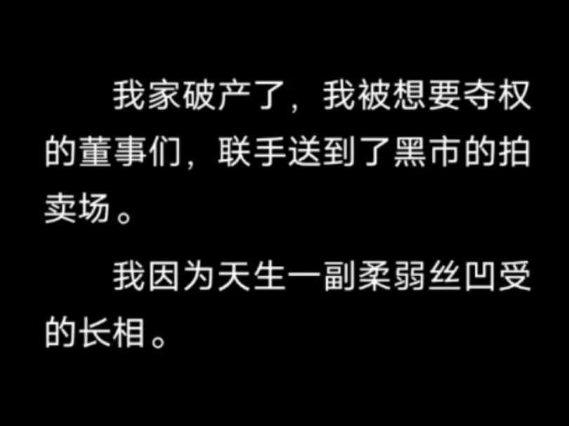 【双男主】破产后我被送去拍卖,死对头买了我,要我当他的烟灰缸