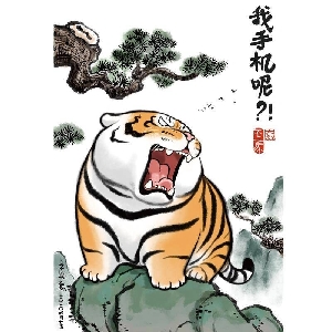 胖嘟嘟的胖老虎 