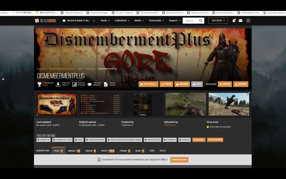 骑马与砍杀2 霸主 使用N网官方mod管理器_骑马与砍杀