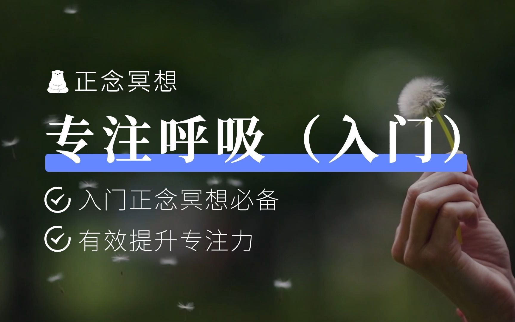正念入门必备 | 15min纯呼吸引导练习,有效拯救稀碎注意力