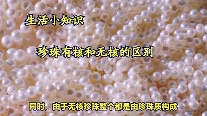 珍珠有核和无核的区别,有核vs无核,揭开有核和无核的区别!